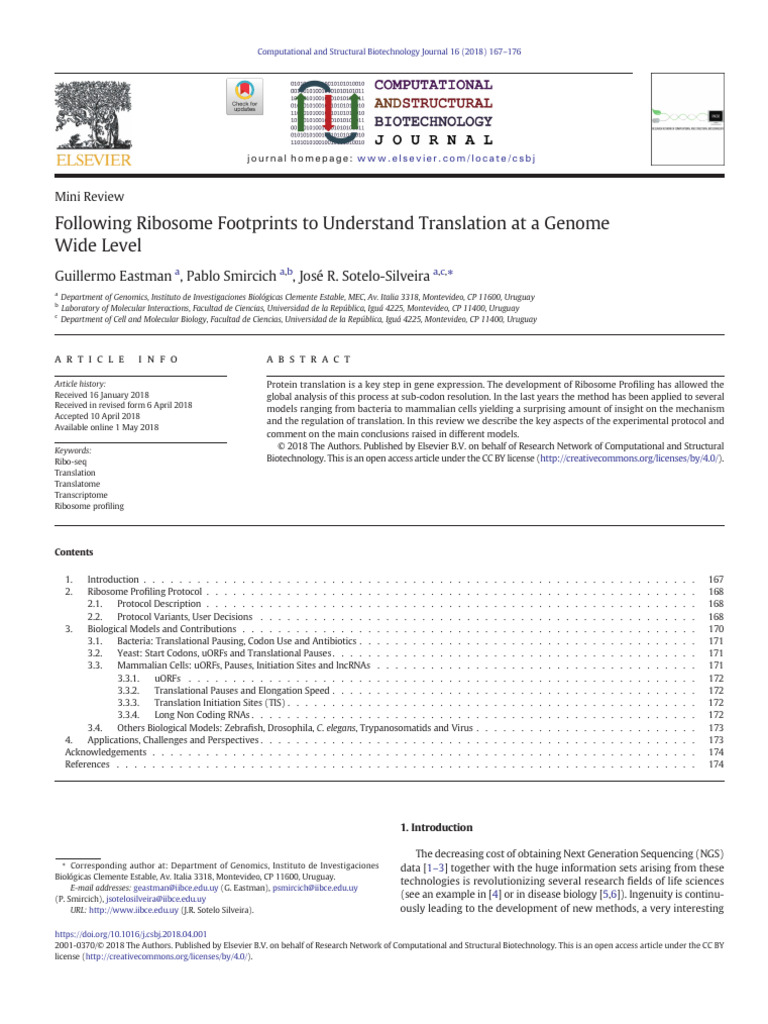 Ribo Seq 2 | PDF | Translation (Biology) | Messenger Rna
