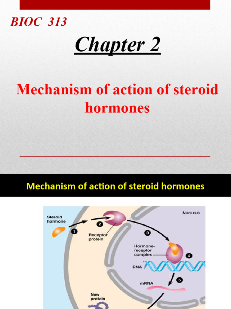 Mechanism of Steroid Hormones Action | PDF | Signal Transduction ...