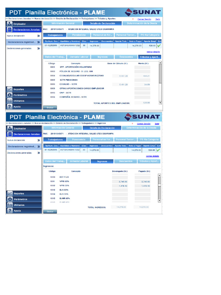 Pantallazo PDT Guia | PDF