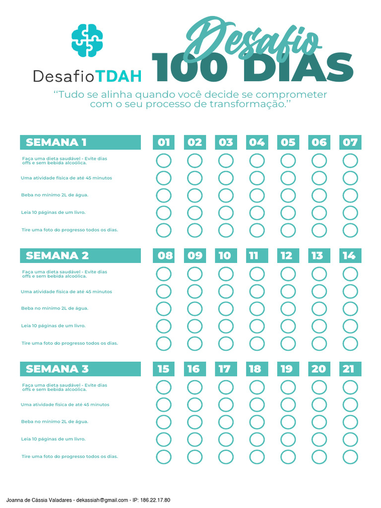 Planner 100 Dias-2 | PDF