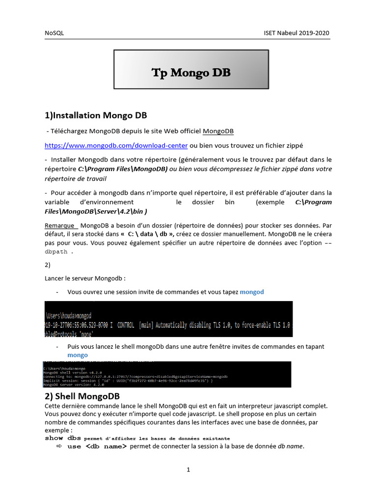 TP Mongo DB 1 | PDF