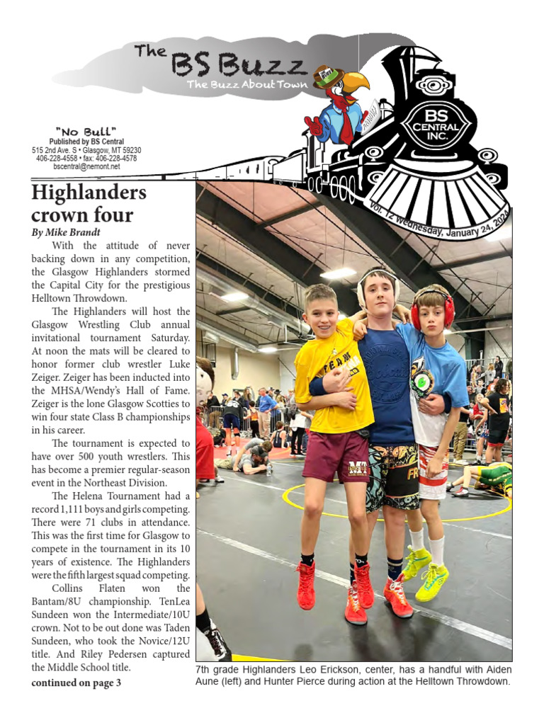 BS Buzz | PDF | Steak | Electric Car