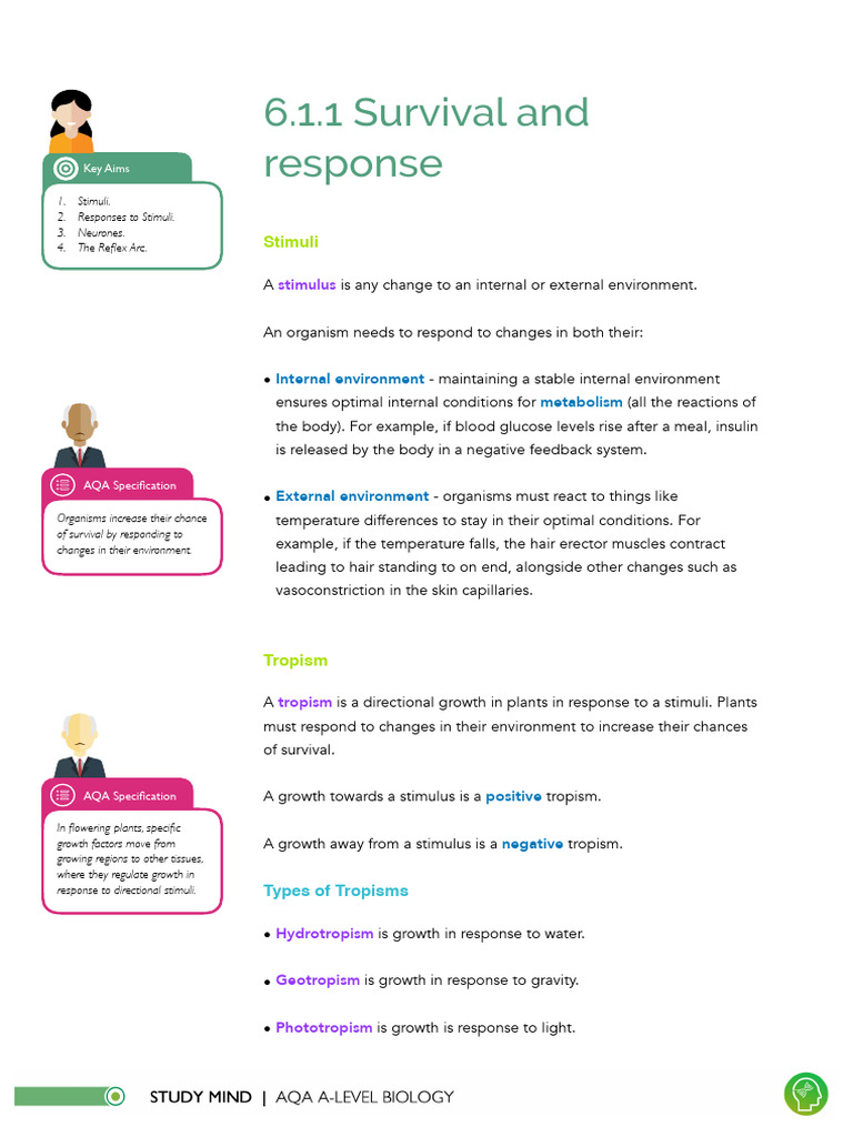 Organism Responses to Environmental Stimuli | PDF | Auxin | Botany