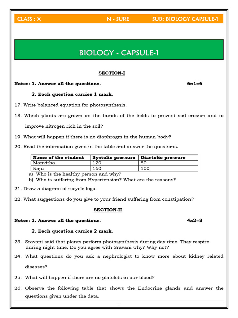 Biology Capsule 1 | PDF | Excretion | Vitamin D