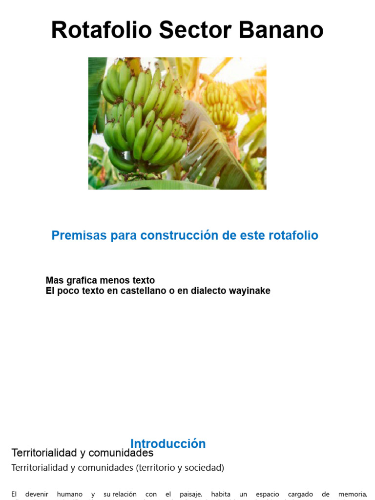 Rotafolio Sector Banano v1 | PDF | Herramientas | Rodilla
