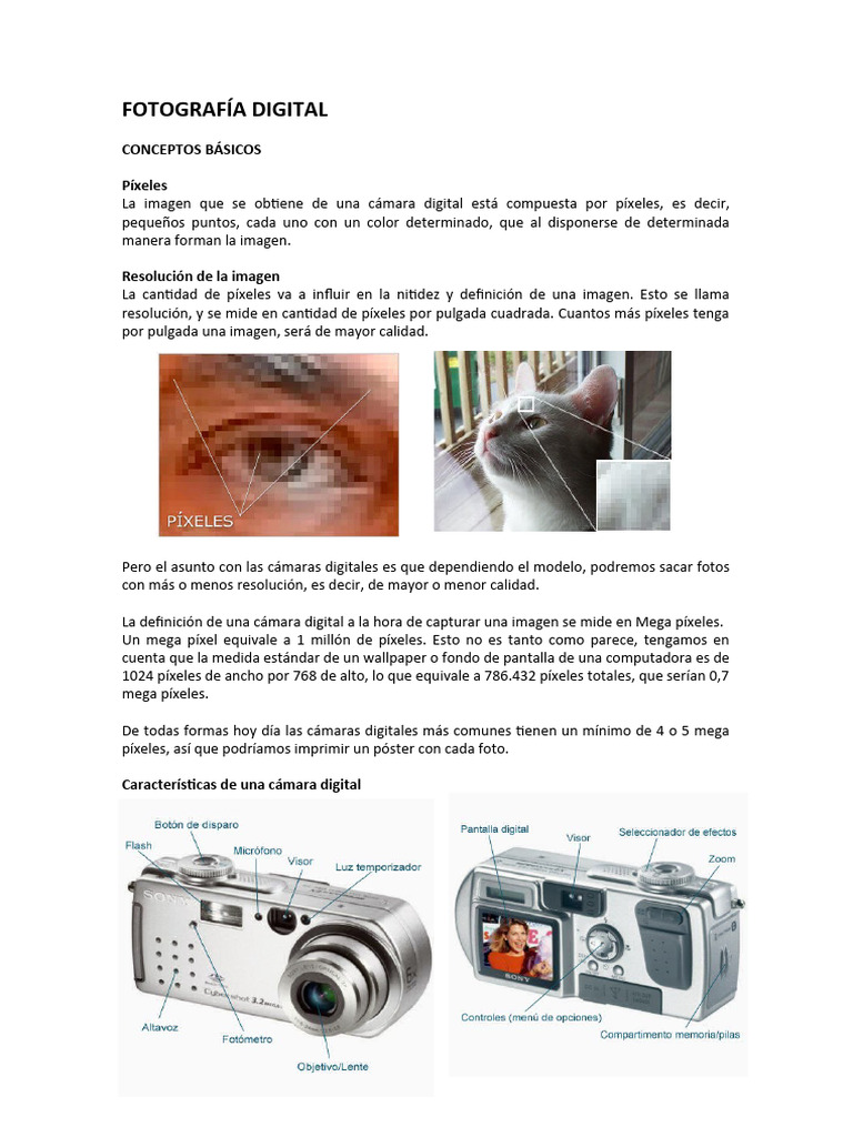 Fotografía Digital | PDF | Píxel | Cámara