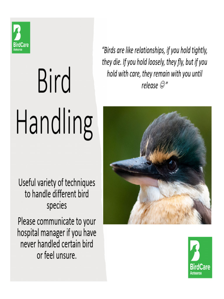 Bird Handling | PDF | Birds
