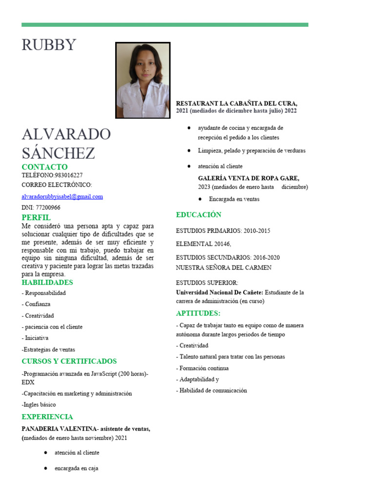 Ejemplo de Currículum | PDF