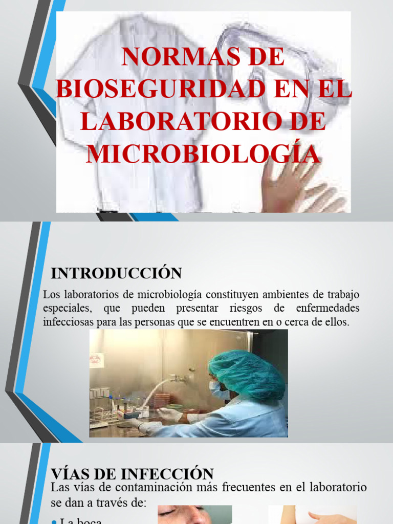 Normas de Bioseguridad en El Laboratorio de Microbiología | PDF ...