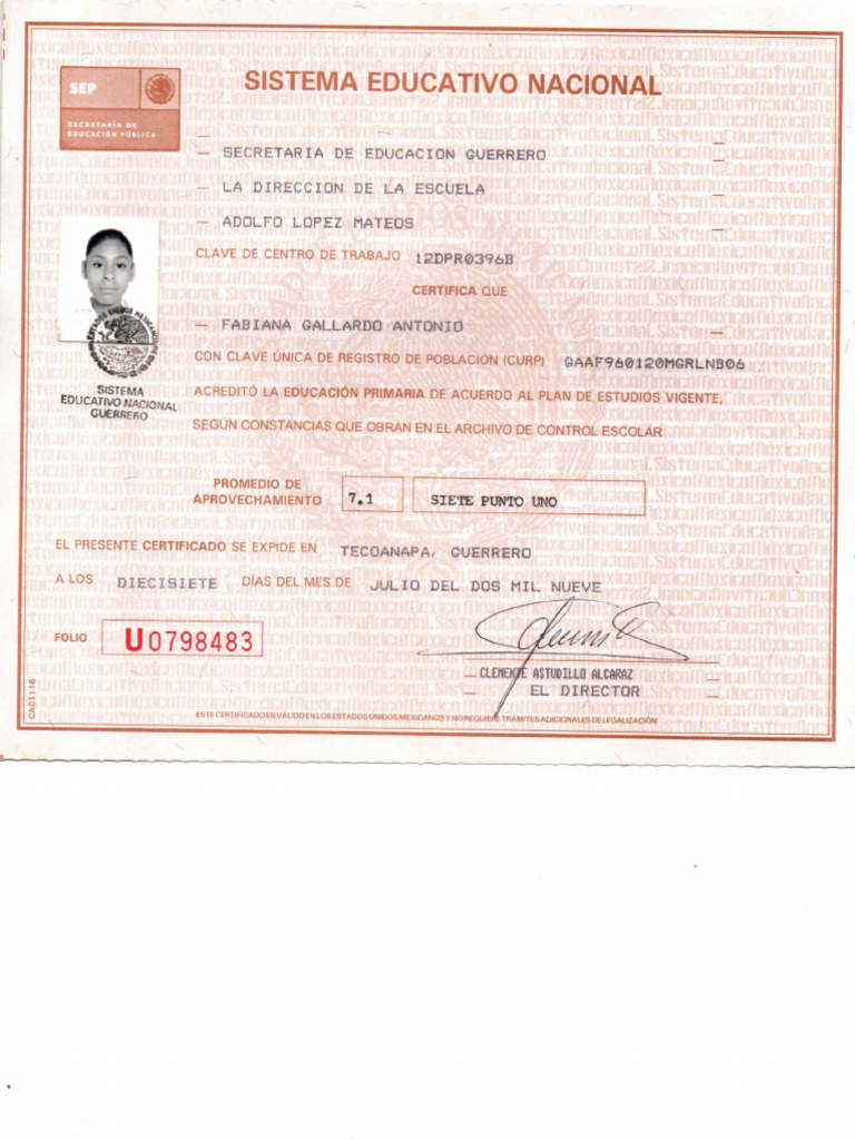 Boleta Primaria | PDF