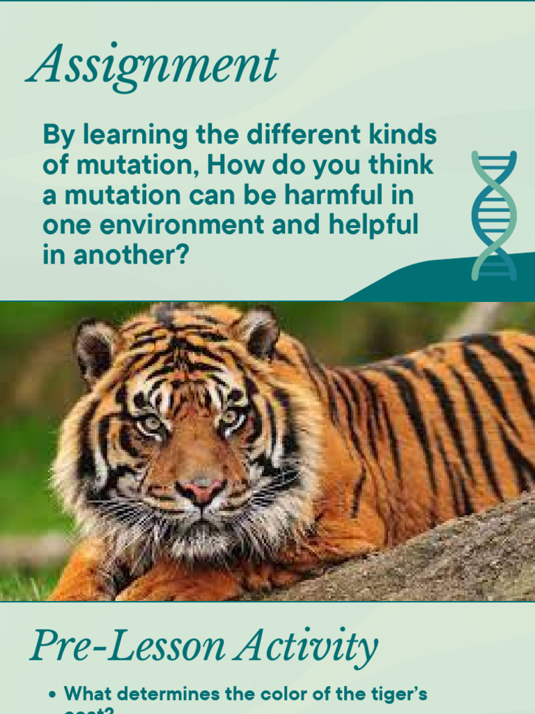Effects Of Gene Mutation Pdf Mutation Genetics