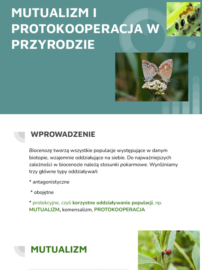 Mutualizm I Protokooperacja W Przyrodzie | PDF