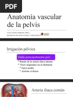 Ramas de La Arteria Iliaca Interna | PDF | Pelvis | Angiología
