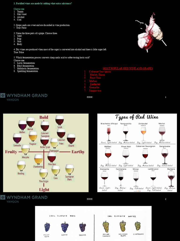 Wine Presentation | PDF