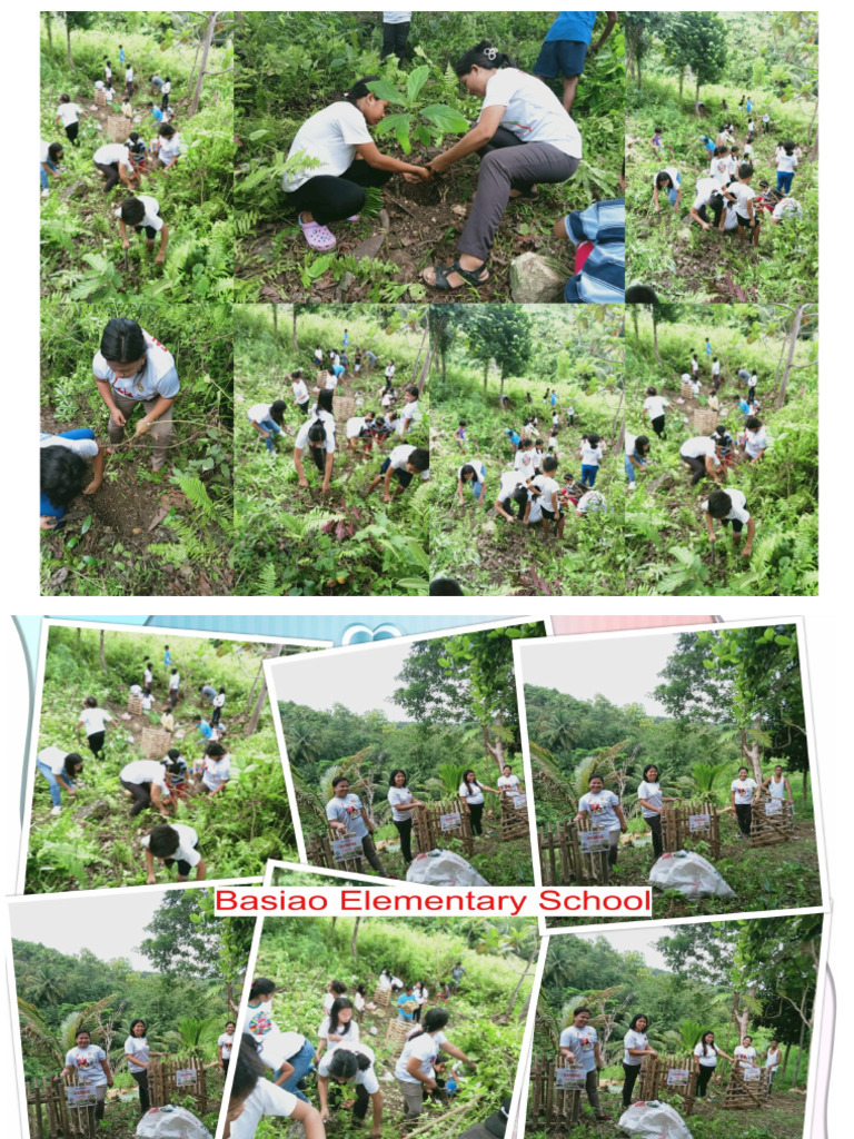 Tree Planting Collage | PDF