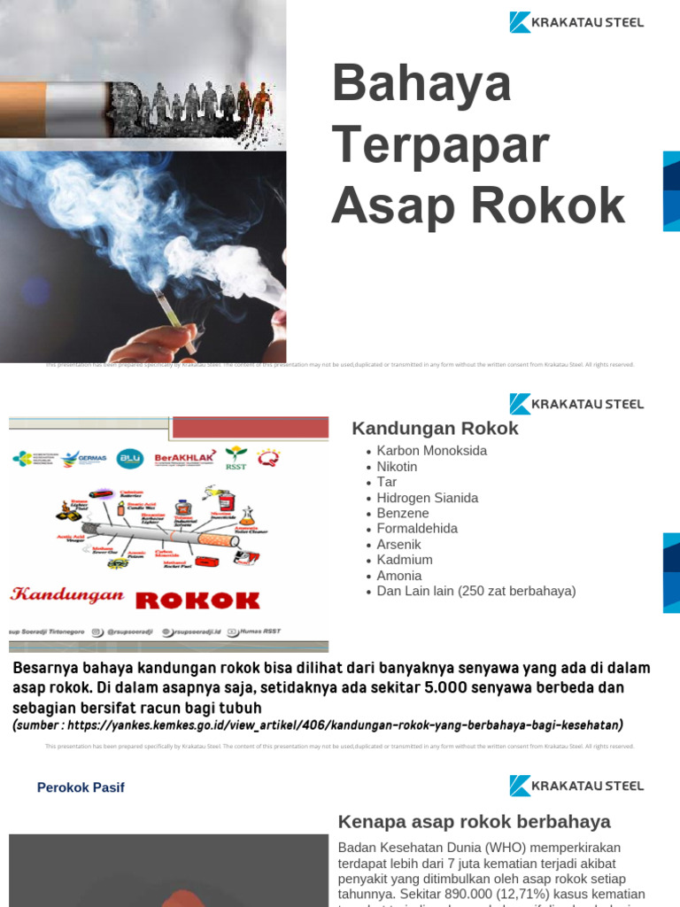 Bahaya Asap Rokok bagi Kesehatan | PDF