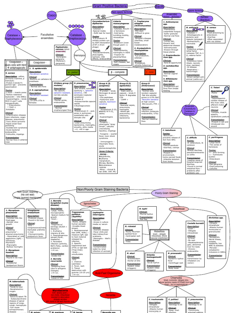 MICROCharts PDF | PDF | Microbiology | Laboratory Techniques