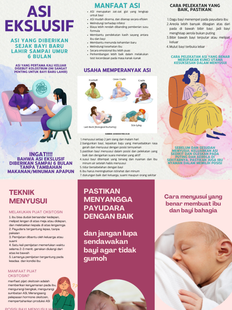 Leaflet Asi Eksklusif 2 | PDF