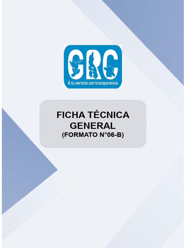 Ficha Técnica General (Formato #06 - B) | PDF | Enseñando | Maestros