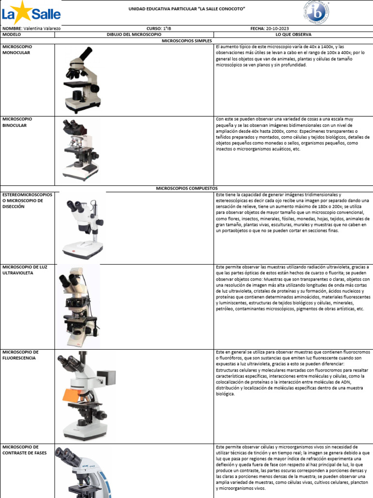 Microscopios | PDF | Microscopio | Biología Celular)