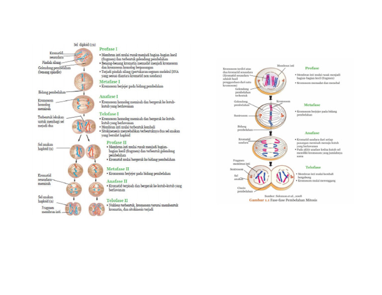 Gambar Ipa Bio | PDF