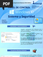 Panel de Control: Seguridad y Mantenimiento | PDF