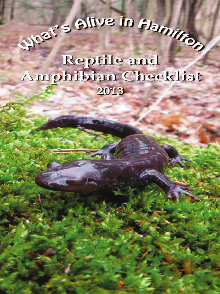 Reptile and Amphibian Species Checklist | PDF | Amphibian | Frog