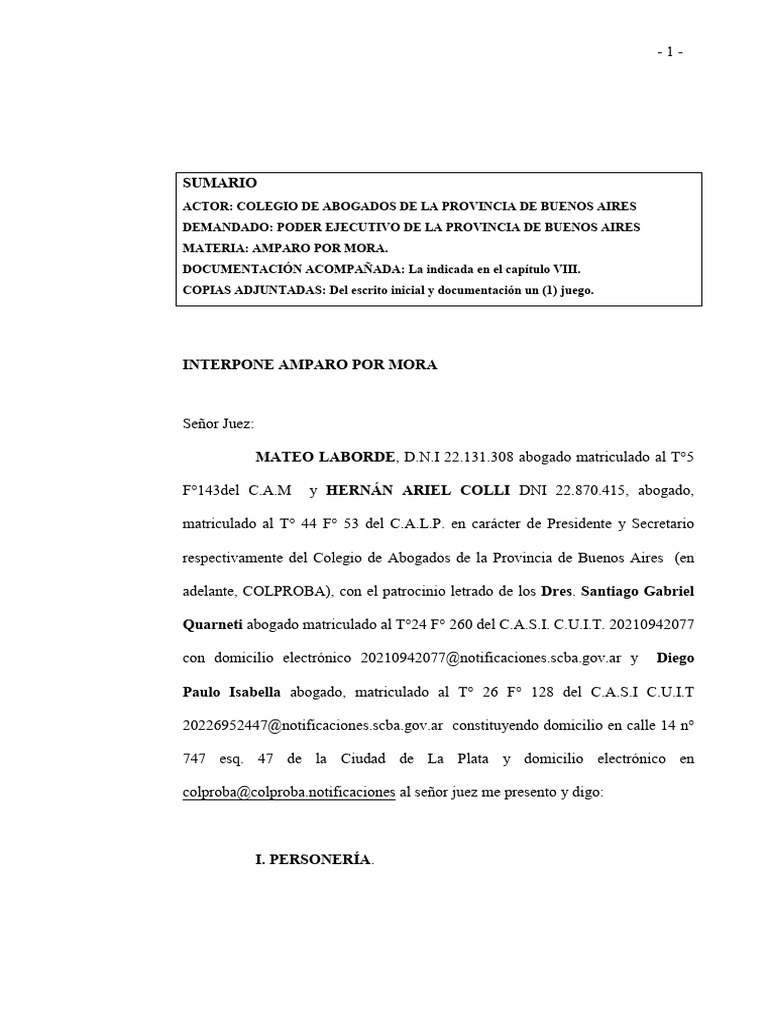 Amparo X Mora Colproba | PDF | Buenos Aires | Caso de ley