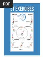 Pony Club C Test Guidelines | PDF | Horse Gait | Horses