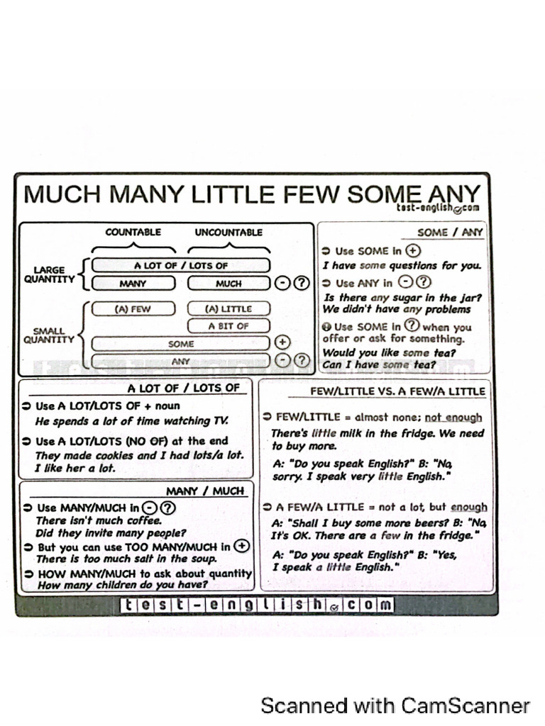 How To Use Much Many Little Few Some Any | PDF