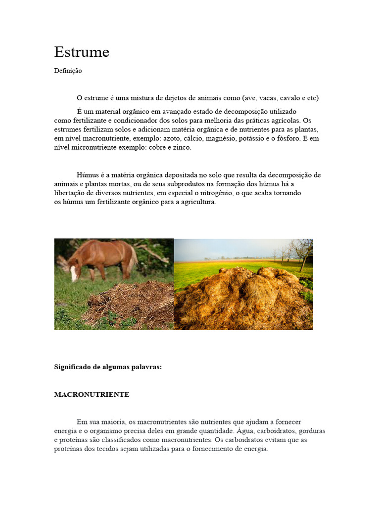 Guia de Estrume para Agricultores | PDF