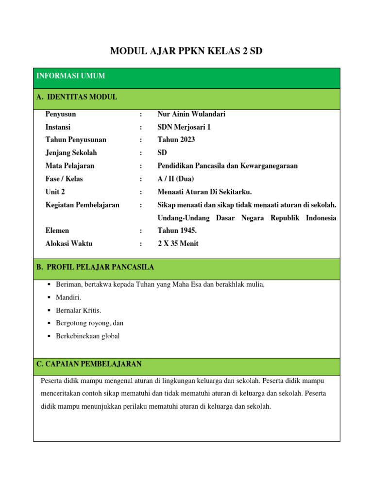 Modul TaRl - Nur Ainin W-PPA | PDF | Karier & Perkembangan