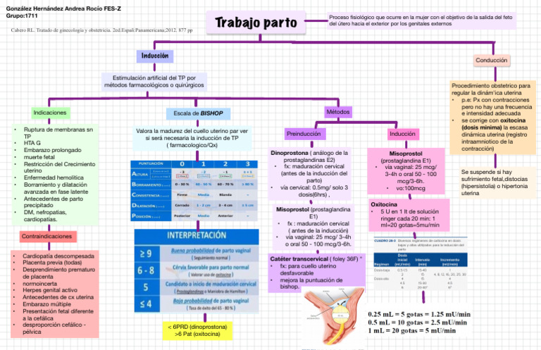 Induccion y Conduccion Del Trabajo de Parto | PDF | Parto | Medicina