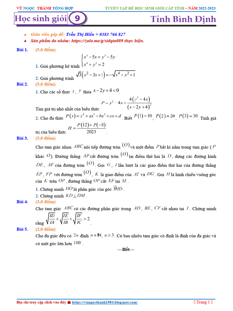 Hsg9 Binh Dinh | PDF