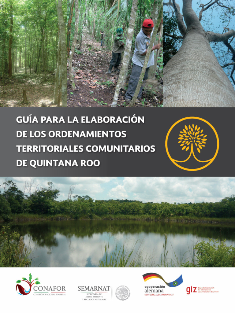 Guia OTC Final | PDF | Comercio | Quintana Roo
