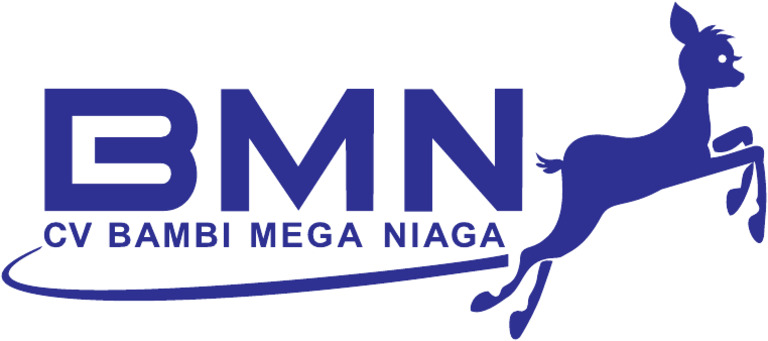 Logo BMN Final | PDF