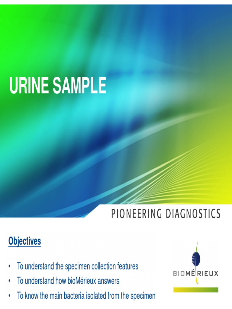 1-7 Urine, Stool, Wound, Genital | Download Free PDF | Urinary Tract ...