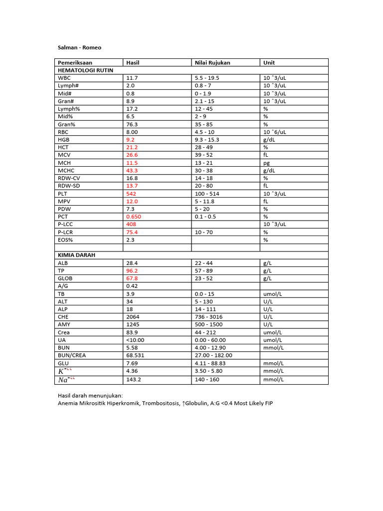 Hasil Darah 25-12 | PDF