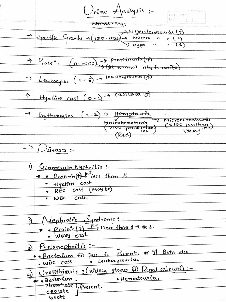 Urine Analysis | PDF