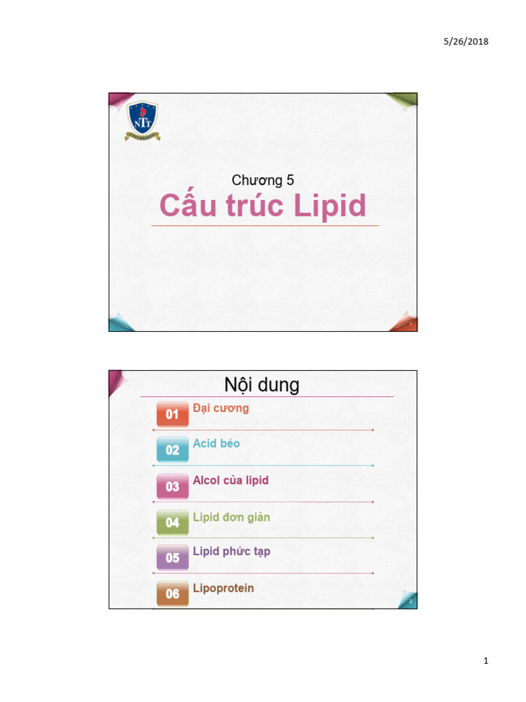 Chương 5 Cấu Trúc Lipid | PDF