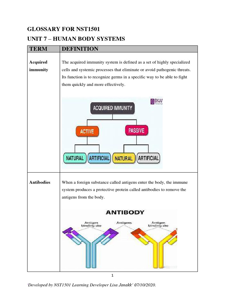 NST1501 Human Body Systems Glossary | PDF | Human Body | Nervous System