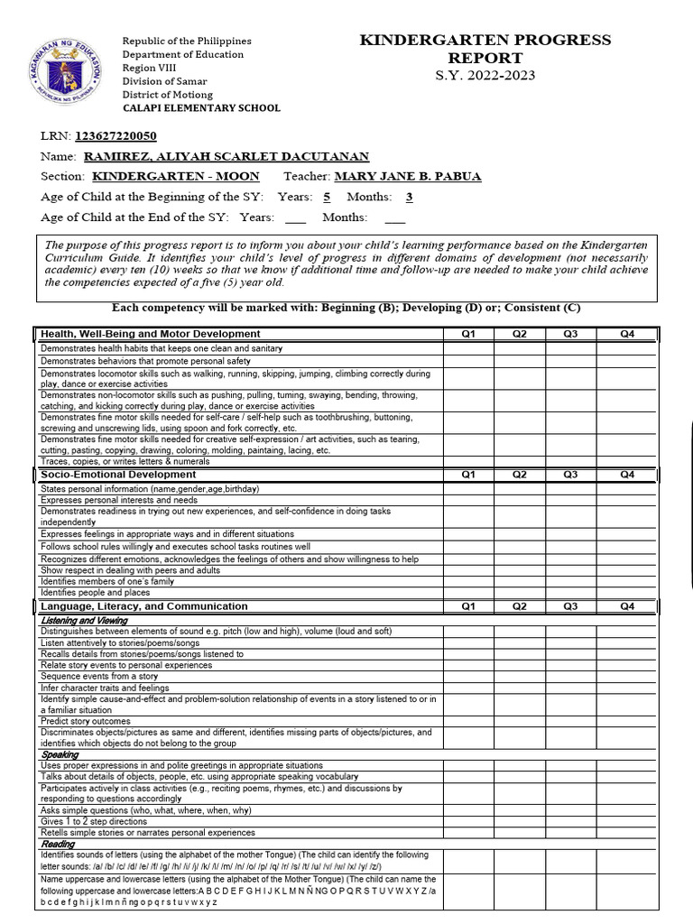 PROGRESS REPORT Kinder | PDF | Letter Case | Human Communication