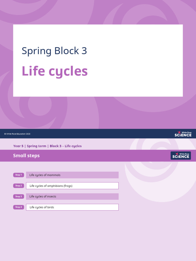 WRS Year 5 Spring B3 SOL - Life Cycles | Download Free PDF | Pupa ...