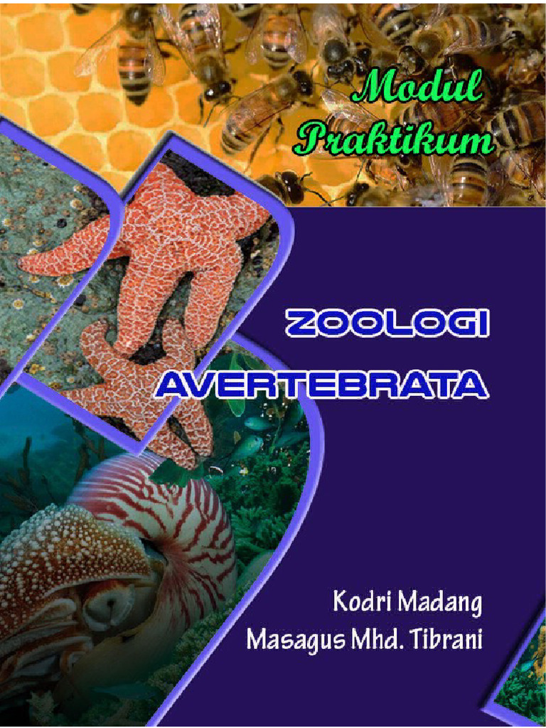 Panduan Praktikum Zoologi Invertebrata | PDF