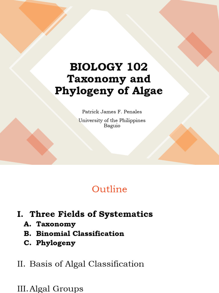 Bio 102 - Lec 03 | PDF | Chloroplast | Taxonomy (Biology)