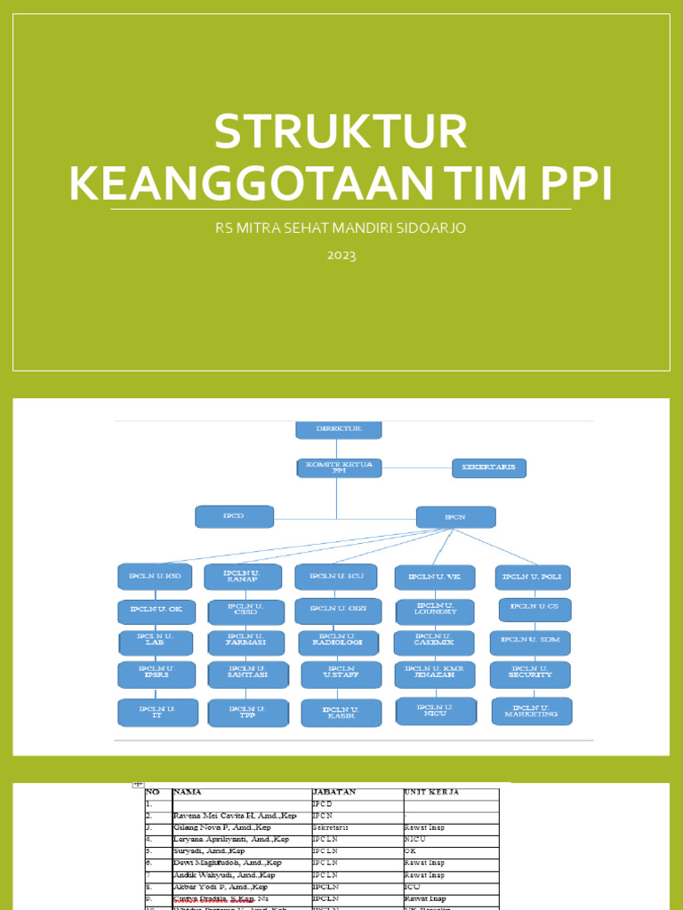 Presentasi Struktur Ppi | PDF