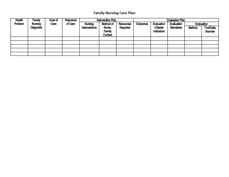 Family Nursing Care Plan Format | PDF