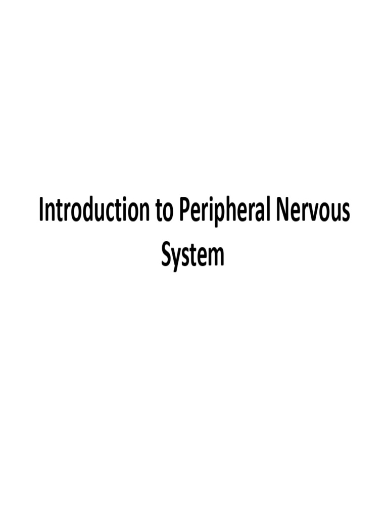 GA&E 10 - Peripheral Nervous System | PDF | Nervous System | Motor Neuron