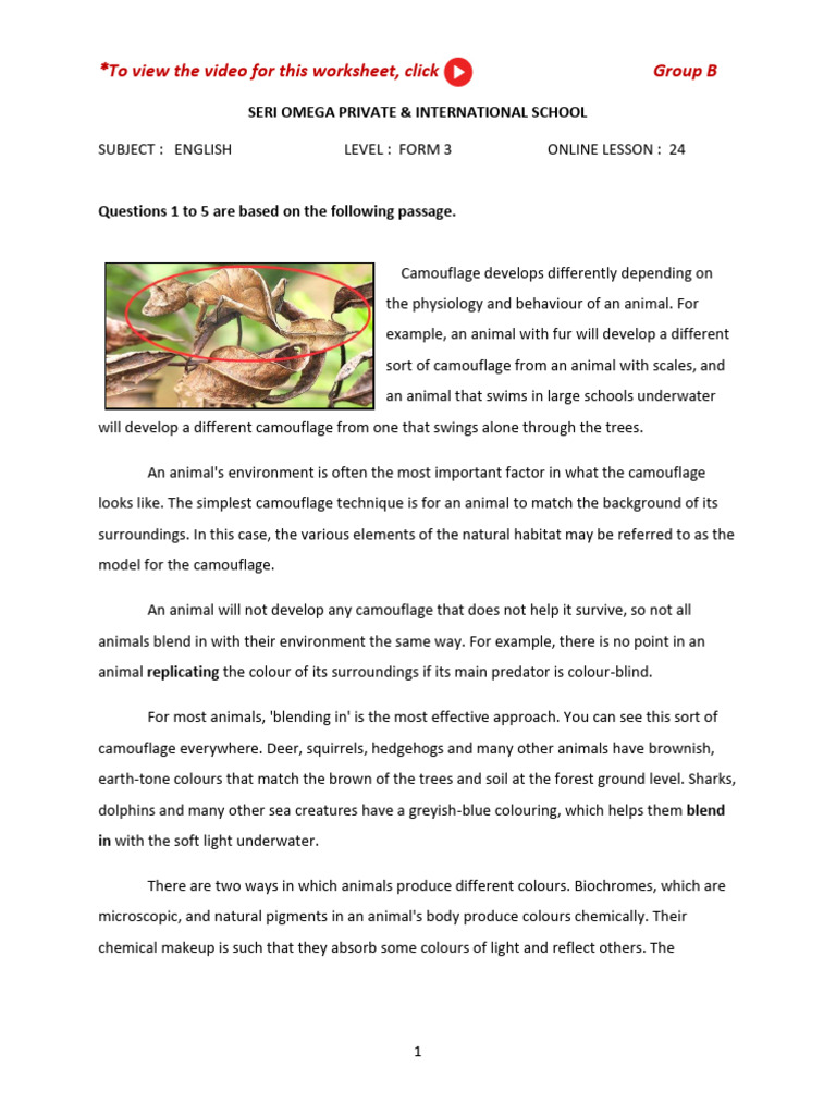 F3 English Language Online Lesson 24 (B) | PDF | Camouflage | Skin