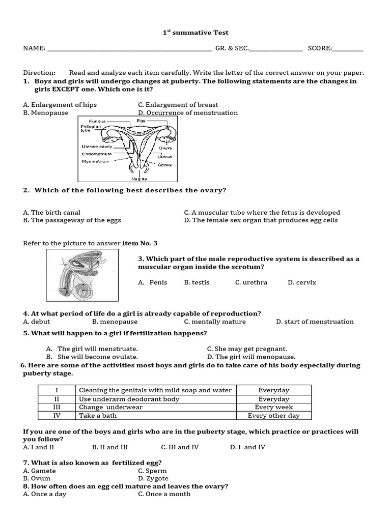 Science 2ND Quarter Summative Test 1 | PDF | Reproductive System ...